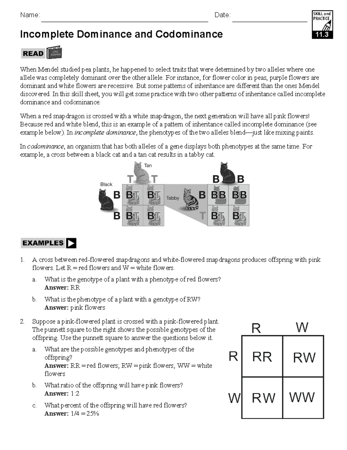 Co Dominance-Incomplete Dominance - Name: Date: Incomplete Dominance ...