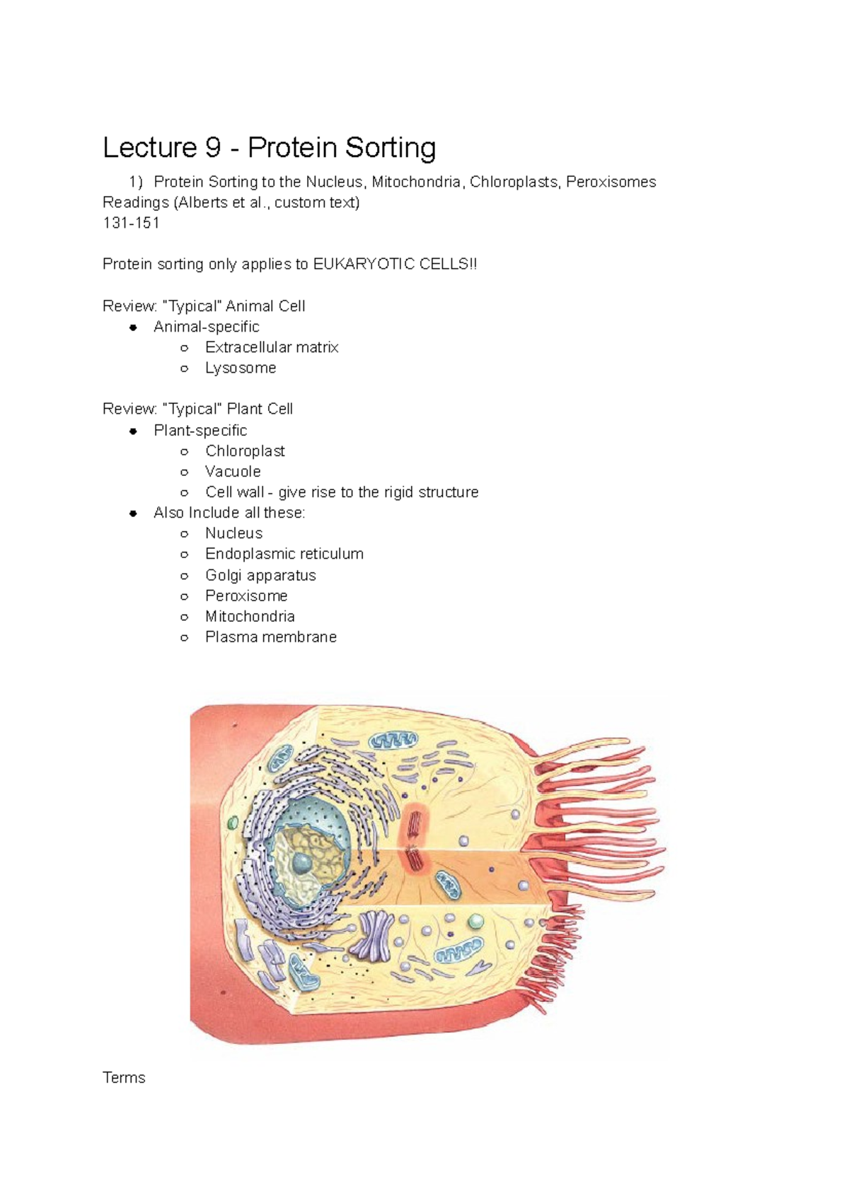 Bio230 Utsg Term 1 Lecture Notes Lecture 9 Protein Sorting Lecture 9 Protein Sorting 