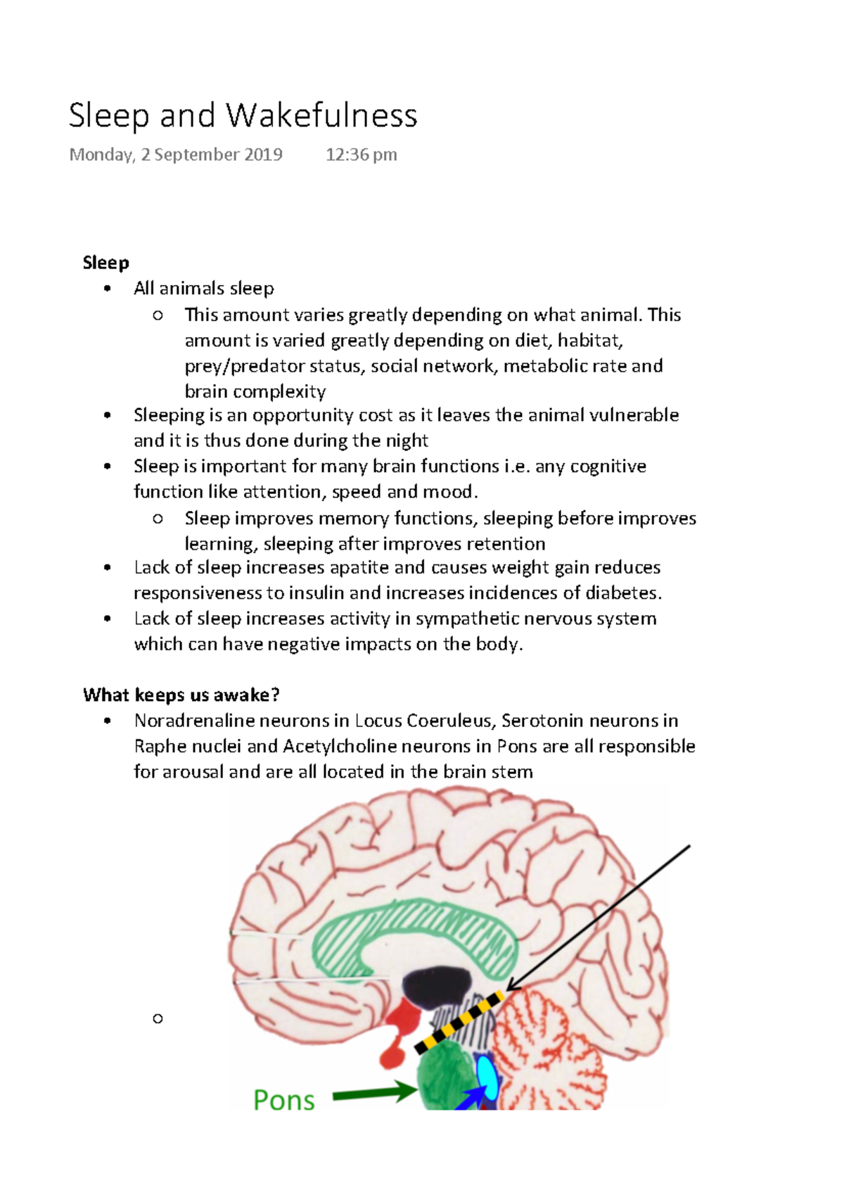Sleep and Wakefulness - Warning: TT: undefined function: 32 Sleep All ...
