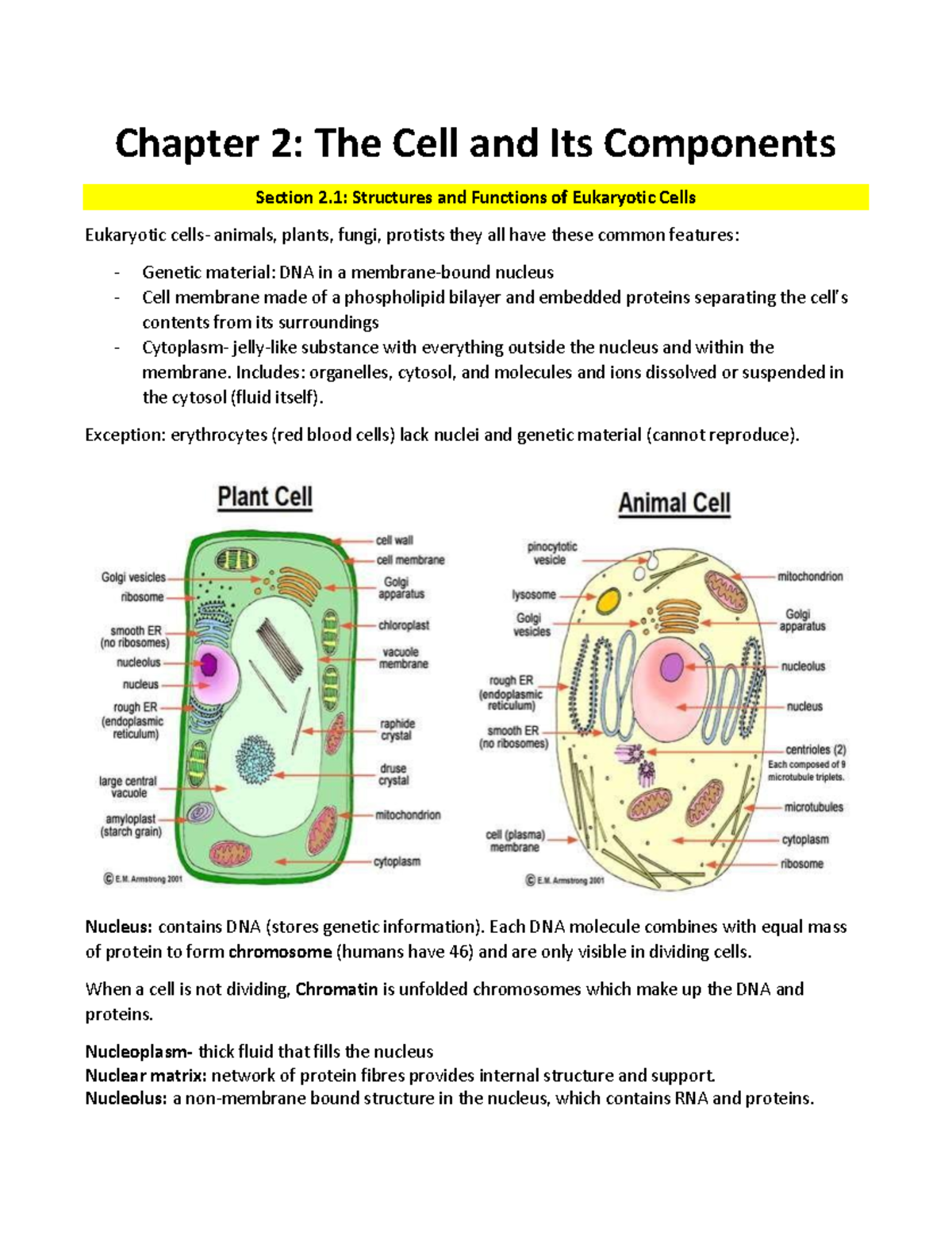 Section 2.1 Structures and Functions of Eukaryotic Cells - Chapter 2 ...