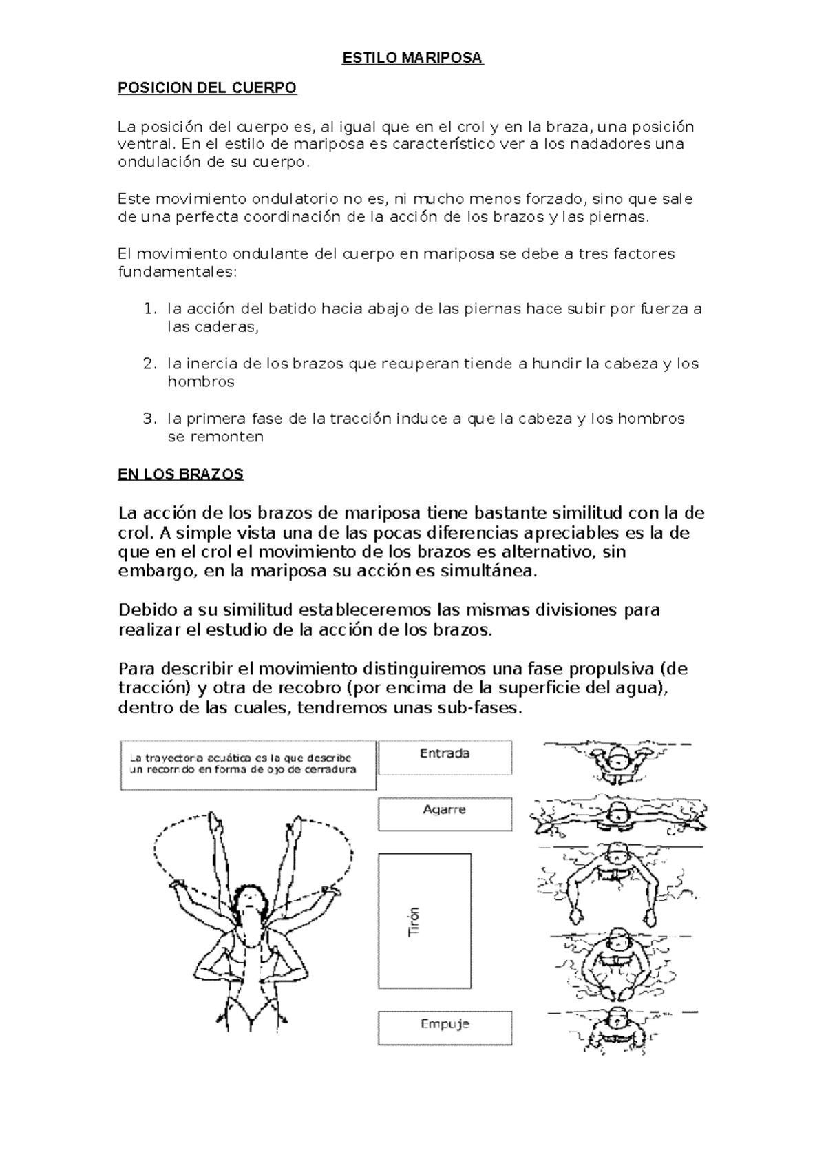 Estilo Mariposa 1 - LALALALLA - ESTILO MARIPOSA POSICION DEL CUERPO La ...