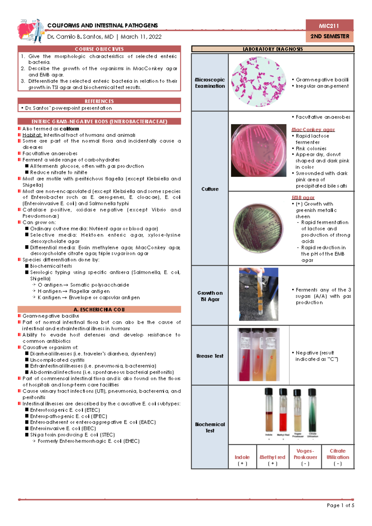 Shigella Flexneri Nitrate Test