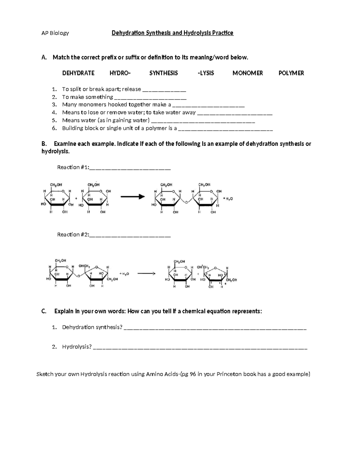 Bio worksheet - AP Biology Dehydration Synthesis and Hydrolysis ...