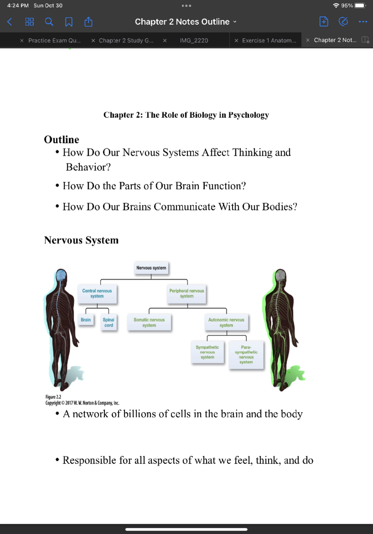 IMG-2839 - This page gives a summary of the nervous system. - PSY2012 ...