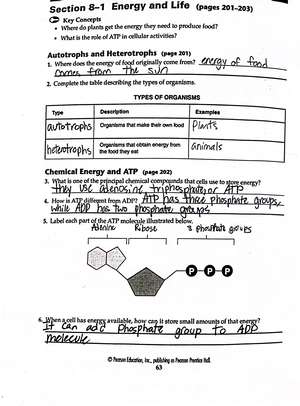 Practice test 1- ap hug - Unit 1: Practice Exam Questions A ratio of ...