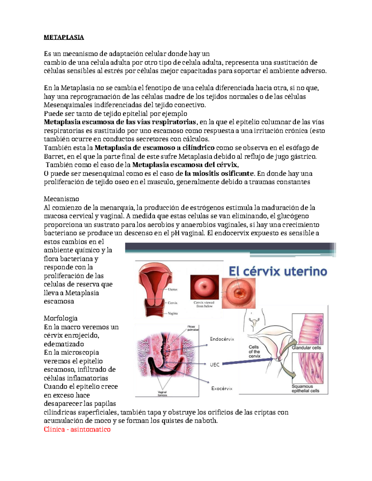 Metaplasia PATOLOGÍA 1 - METAPLASIA Es un mecanismo de adaptación ...
