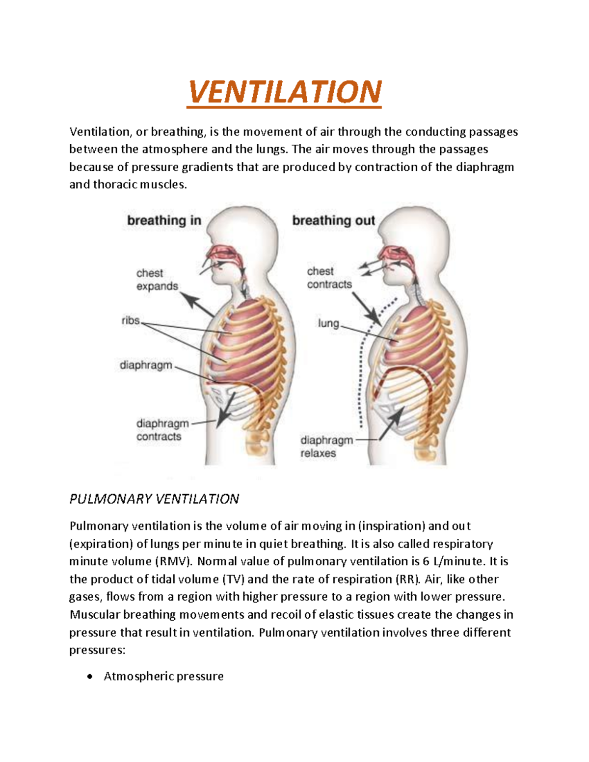 Ventilation - VENTILATION Ventilation, or breathing, is the movement of ...