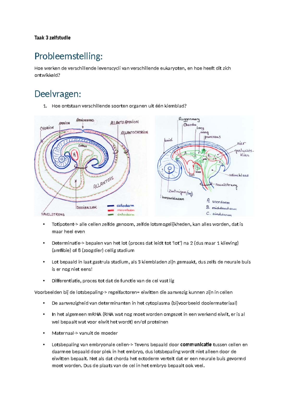 Taak 3 zelfstudie, taak 4 begin - Taak 3 zelfstudie Probleemstelling ...
