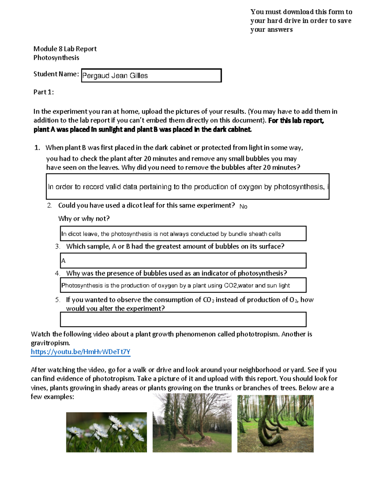 Lab7 - assignment - Module 8 Lab Report Photosynthesis Student Name ...