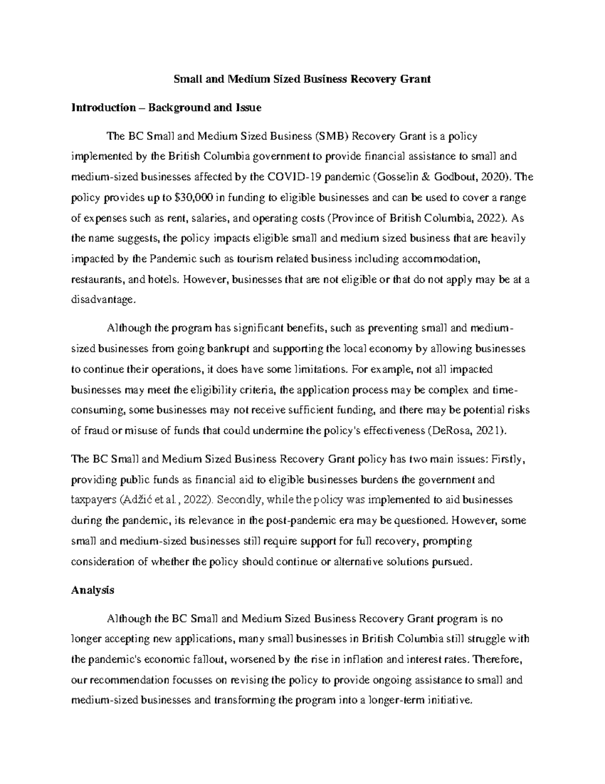 Policy Brief Example 1 - Small and Medium Sized Business Recovery Grant ...