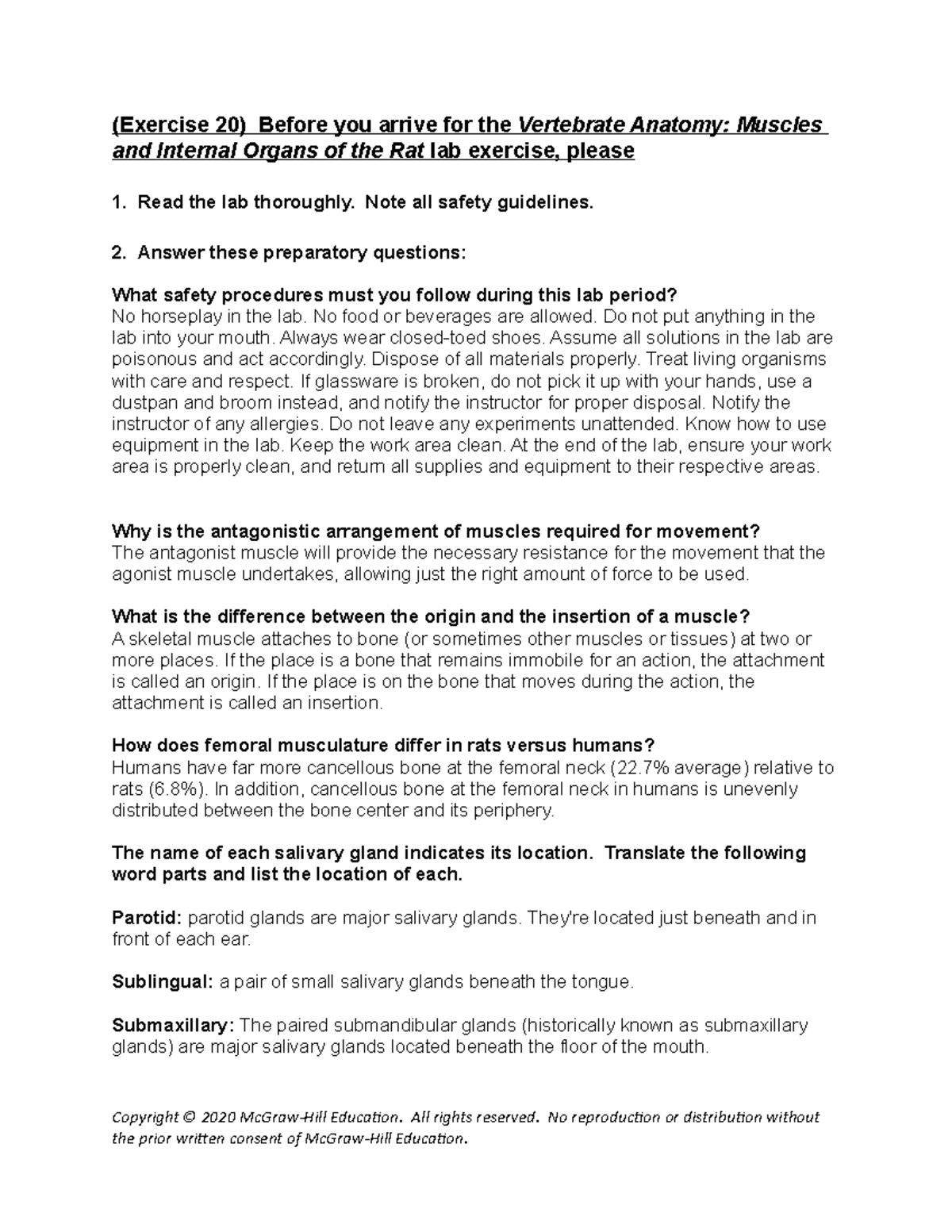 Precious Okolie (20 Vertebrate Anatomy Muscles and Internal Organs of ...