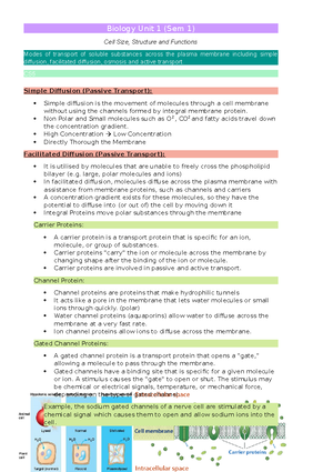 The Eukaryotic Cell Cycle and Cancer - hhmi/biointeractive/click ...