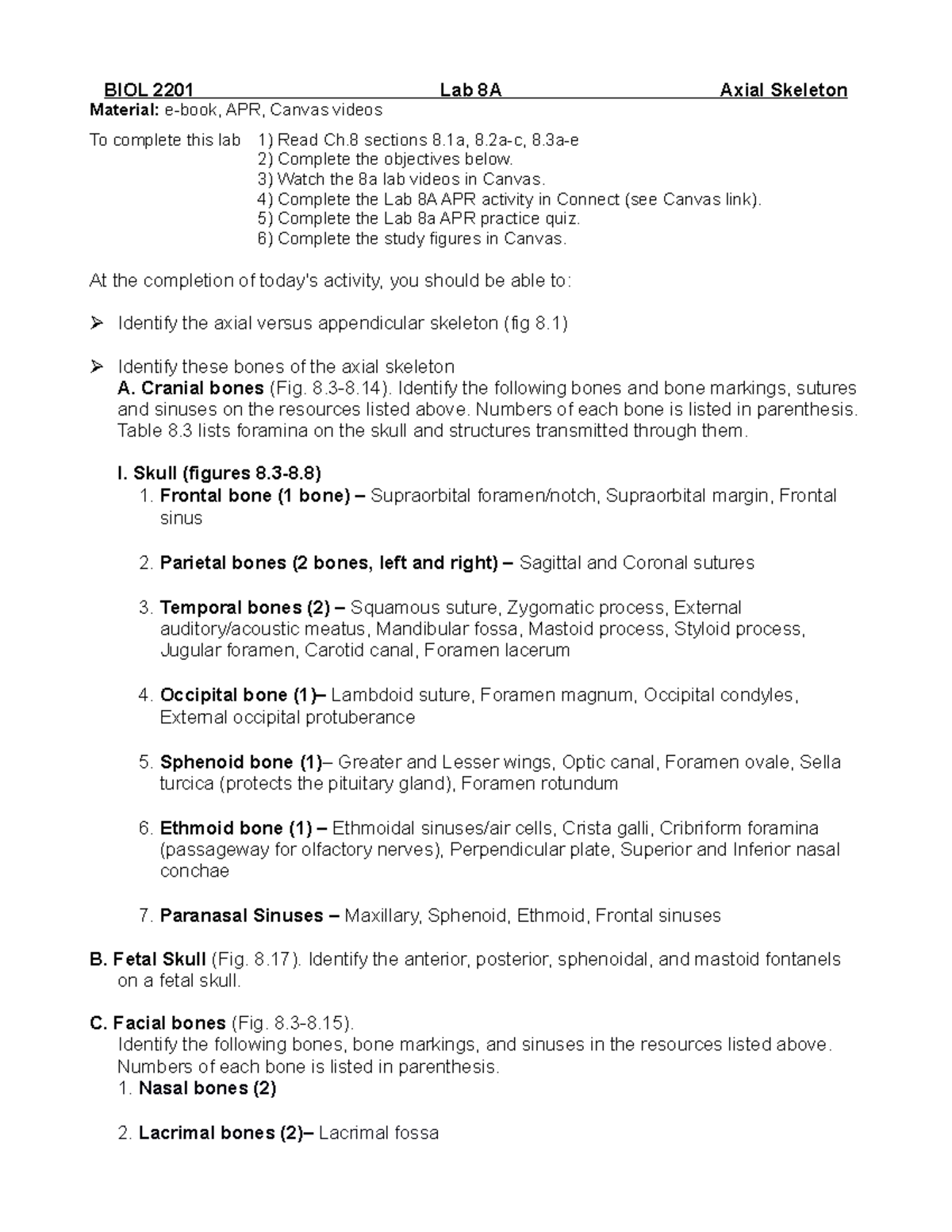 Lab 8A Axial Skeleton (instructions) - BIOL 2201 Lab 8A Axial Skeleton ...