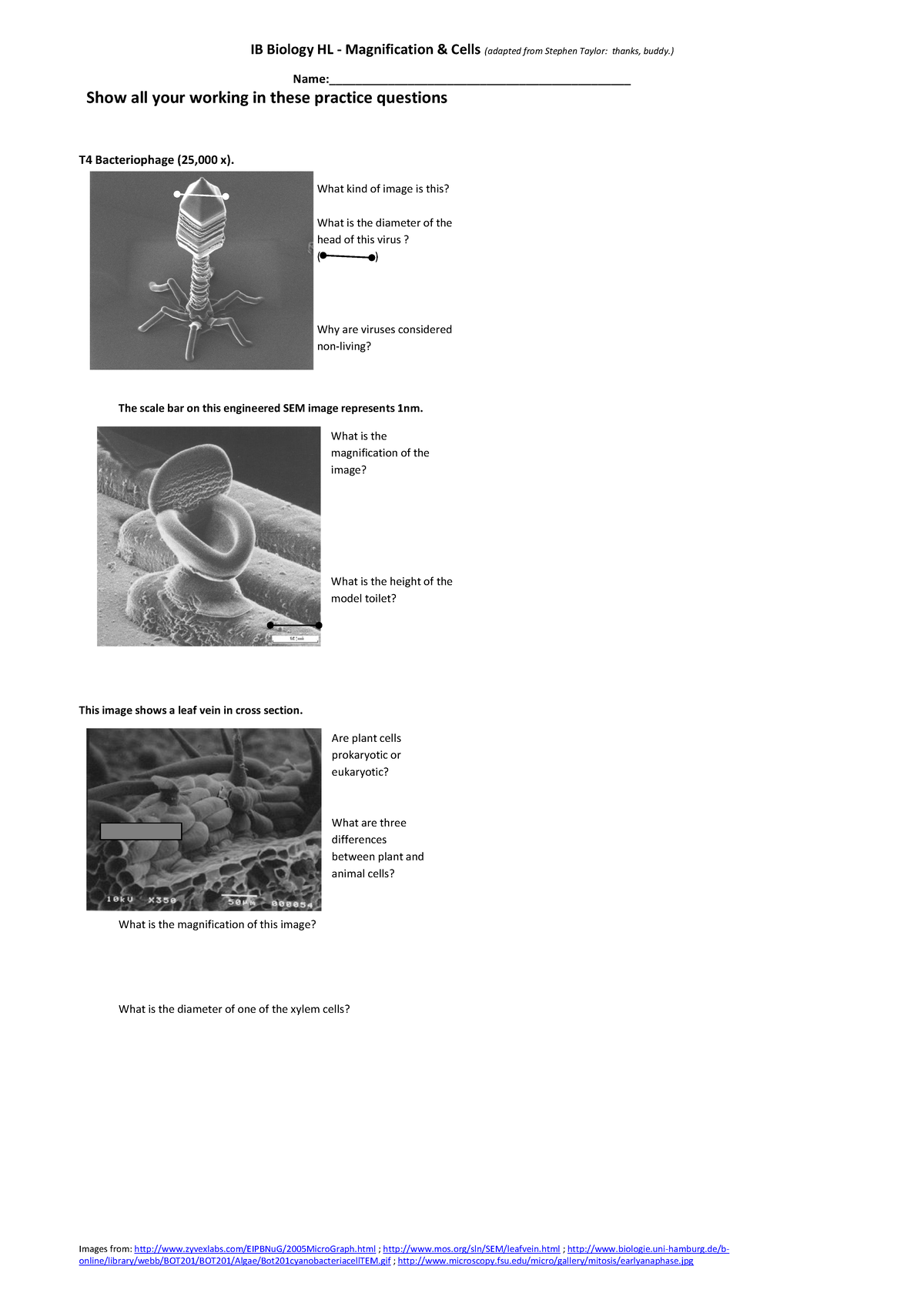 Name show all your working in these practice questions - IB Biology HL ...