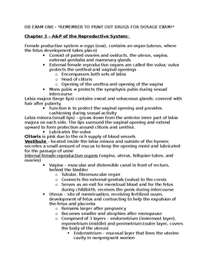 HRA Prep Sheet 2021-1 - High Risk Notes - Prenatal Clinic/Triage/High ...