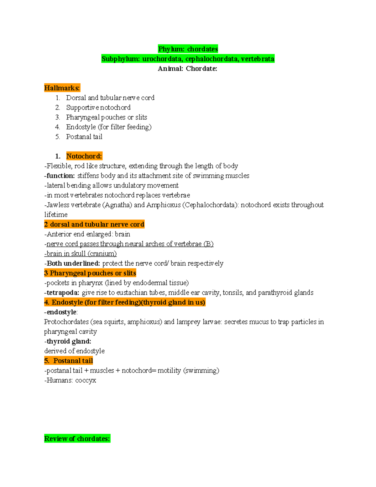 Zoology chapter 23 and 24 and 25 - Phylum: chordates Subphylum ...