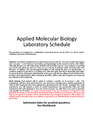 Daniel soldevilla mental illness therapists - Types of mental illness ...