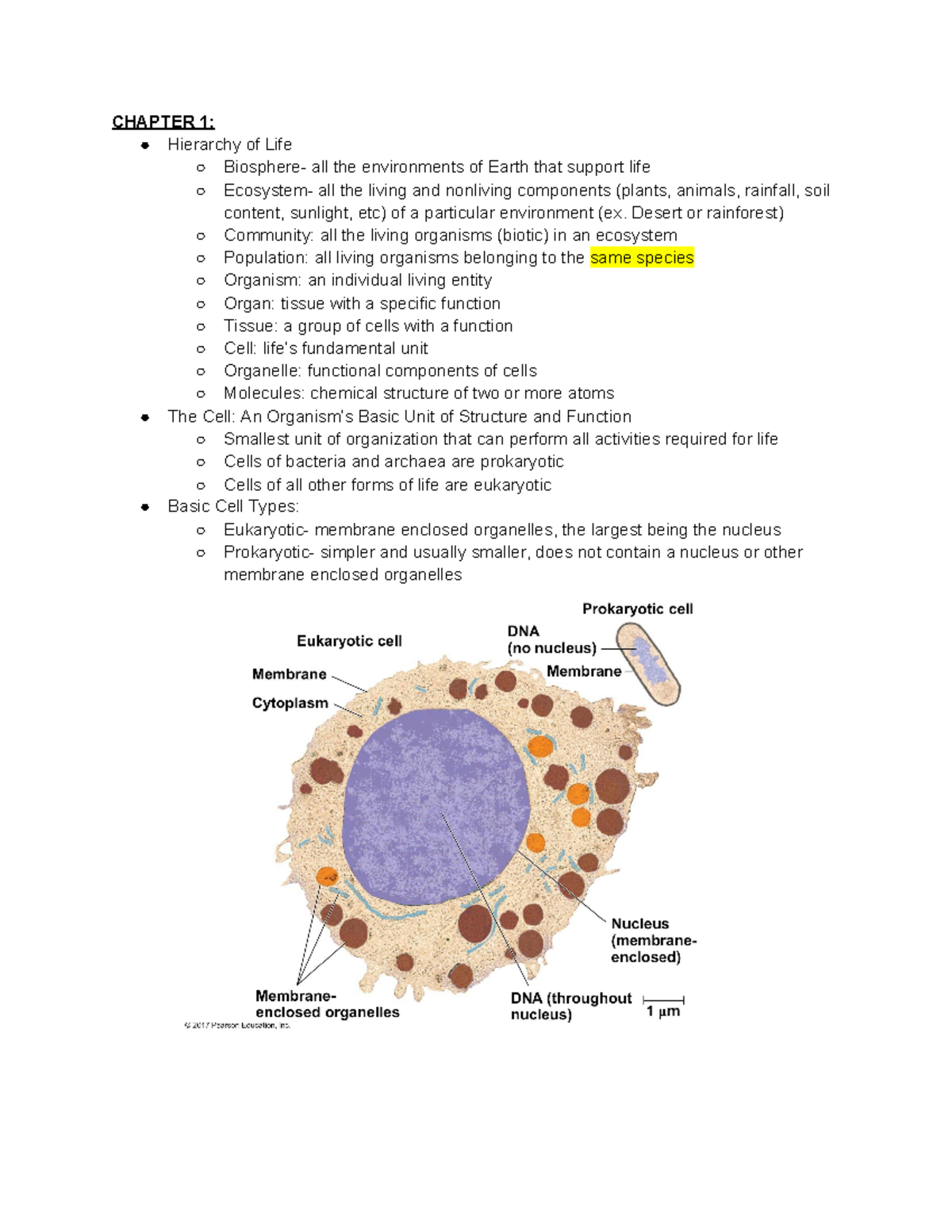 Biology final notes - CHAPTER 1: Hierarchy of Life Biosphere- all the ...