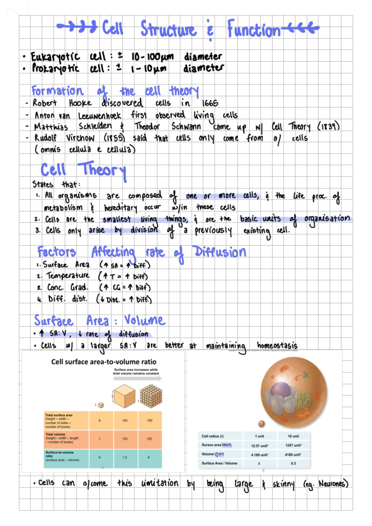 Notes Section 1 for ST1 - MLB 111 - Studocu