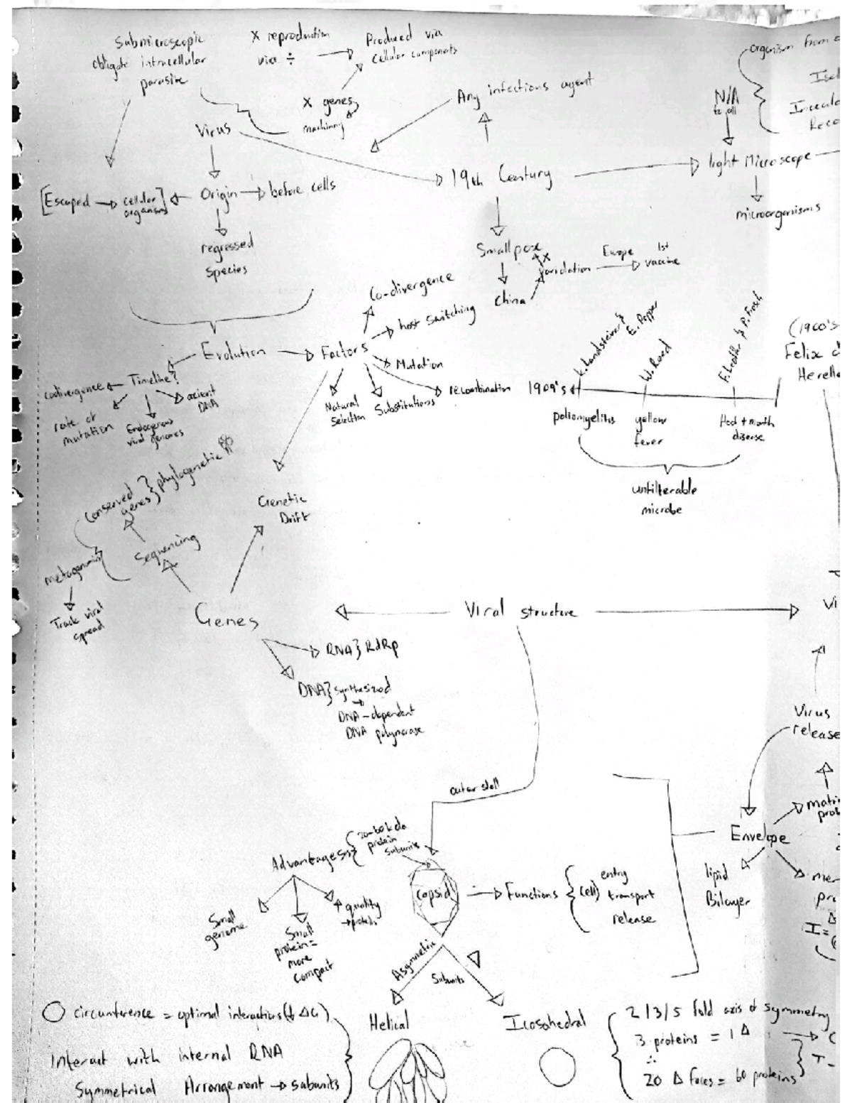 Virology Basics - MCBG3017 - Studocu