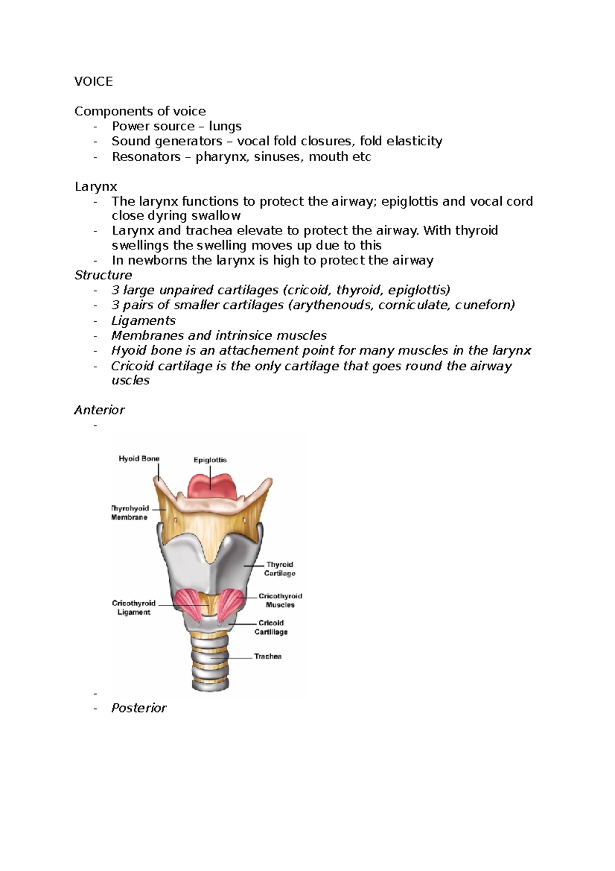 1. Voice - VOICE Components of voice - Power source – lungs - Sound ...