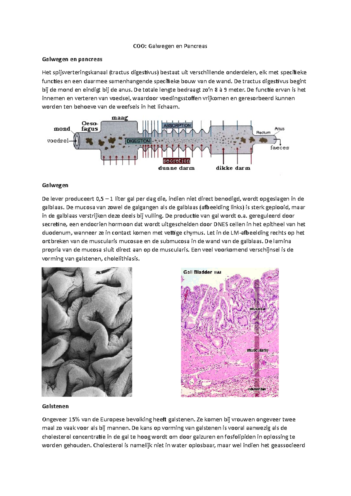 COO Galwegen en pancreas - COO: Galwegen en Pancreas Galwegen en ...