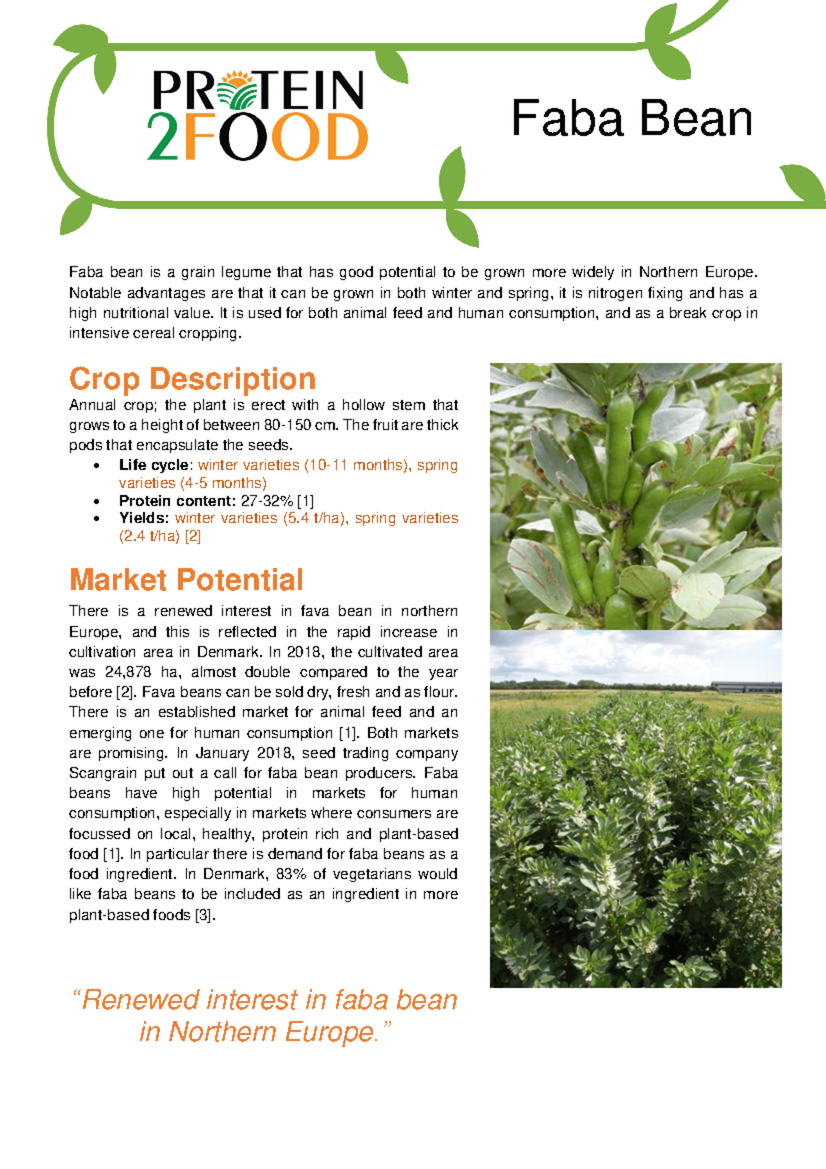 EN Faba-bean-leaflet Final - Faba Bean Faba bean is a grain legume that ...