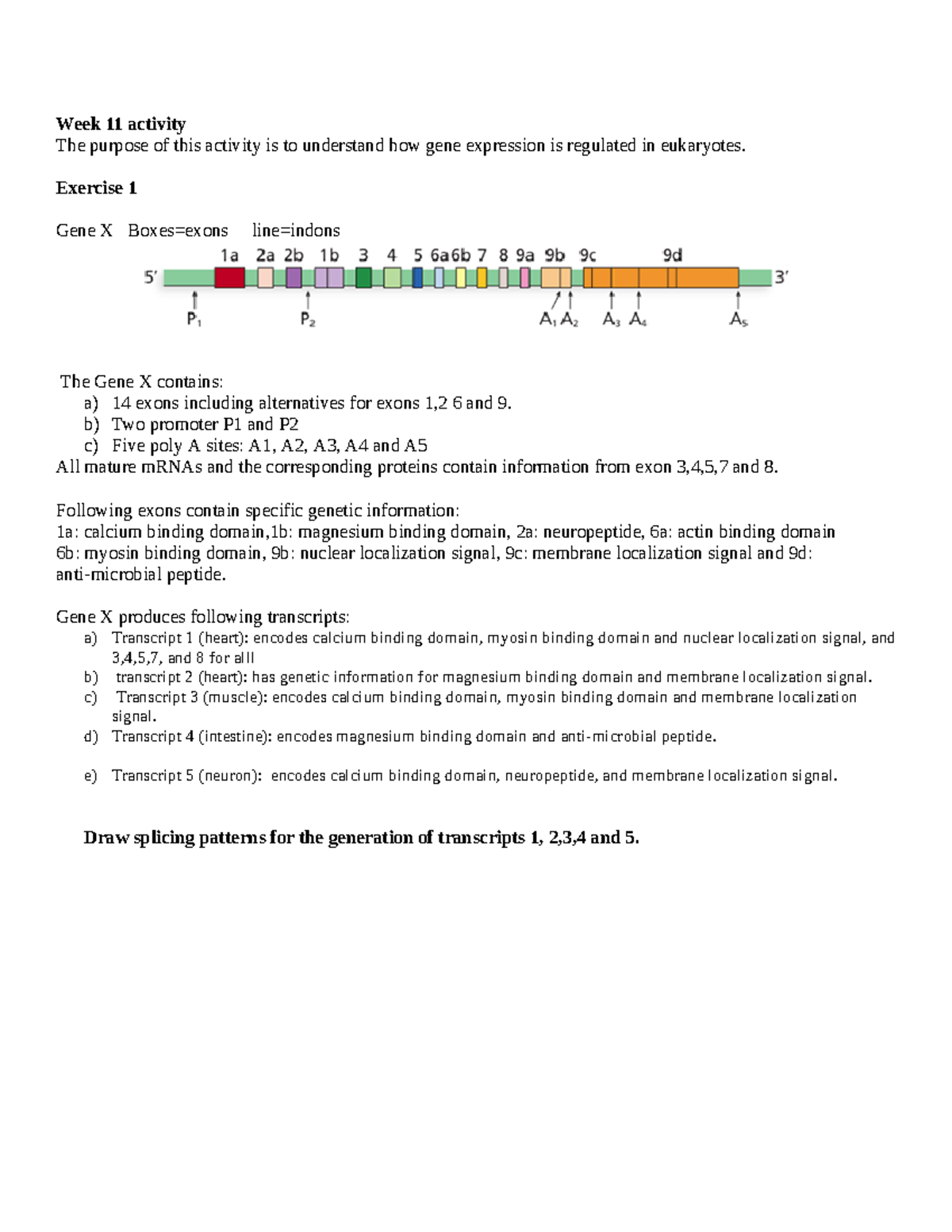 Bio 351 Week 11 Activity - Google Docs - Week 11 activity The purpose ...