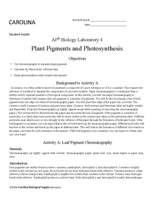 Photosynthesis Lab SE - N/a - Name: Date: Student Exploration ...