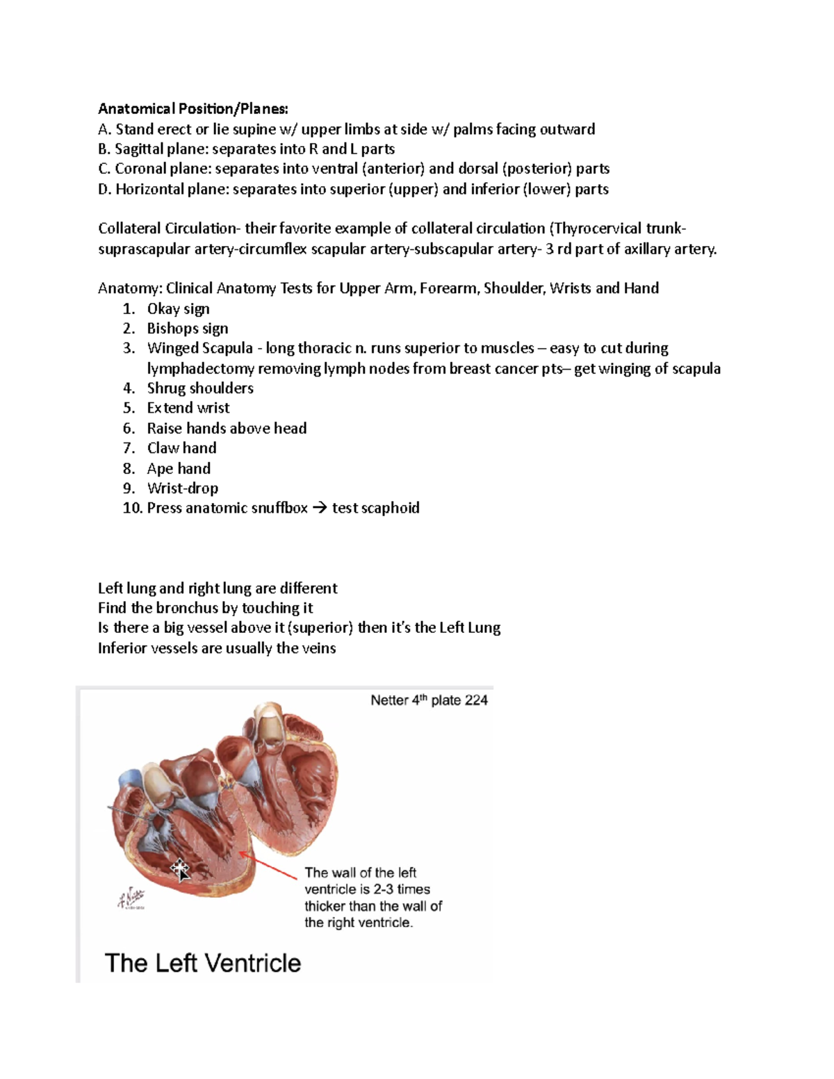 Anatomical Position Notes - Anatomical Position/Planes: A. Stand erect ...