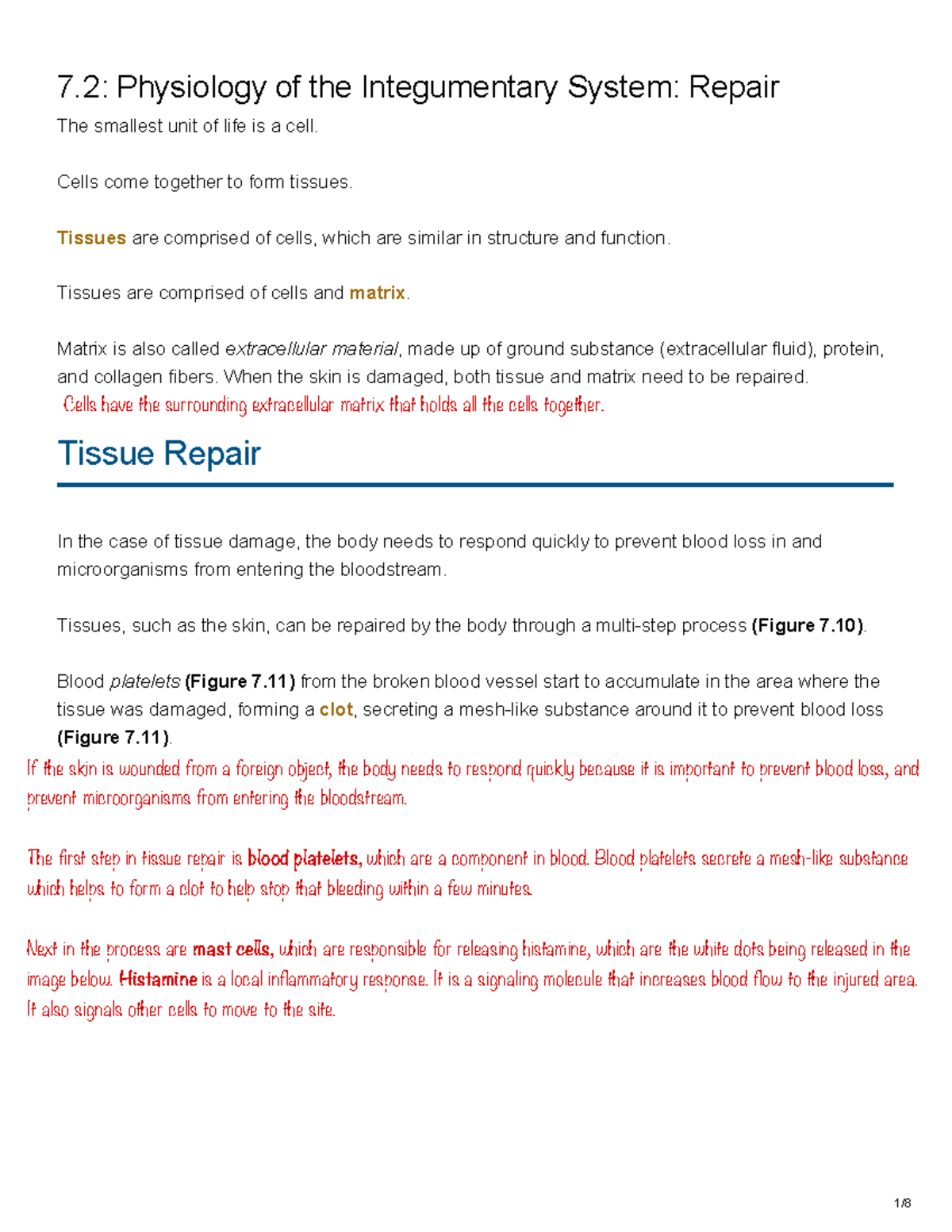7.2 Physiology of the Integumentary System Repair Essential Human ...