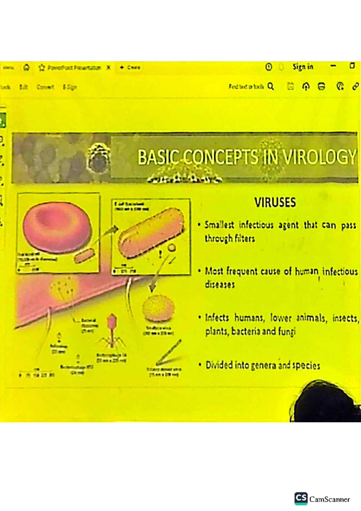 Virology - Virus - Microbiology - Studocu