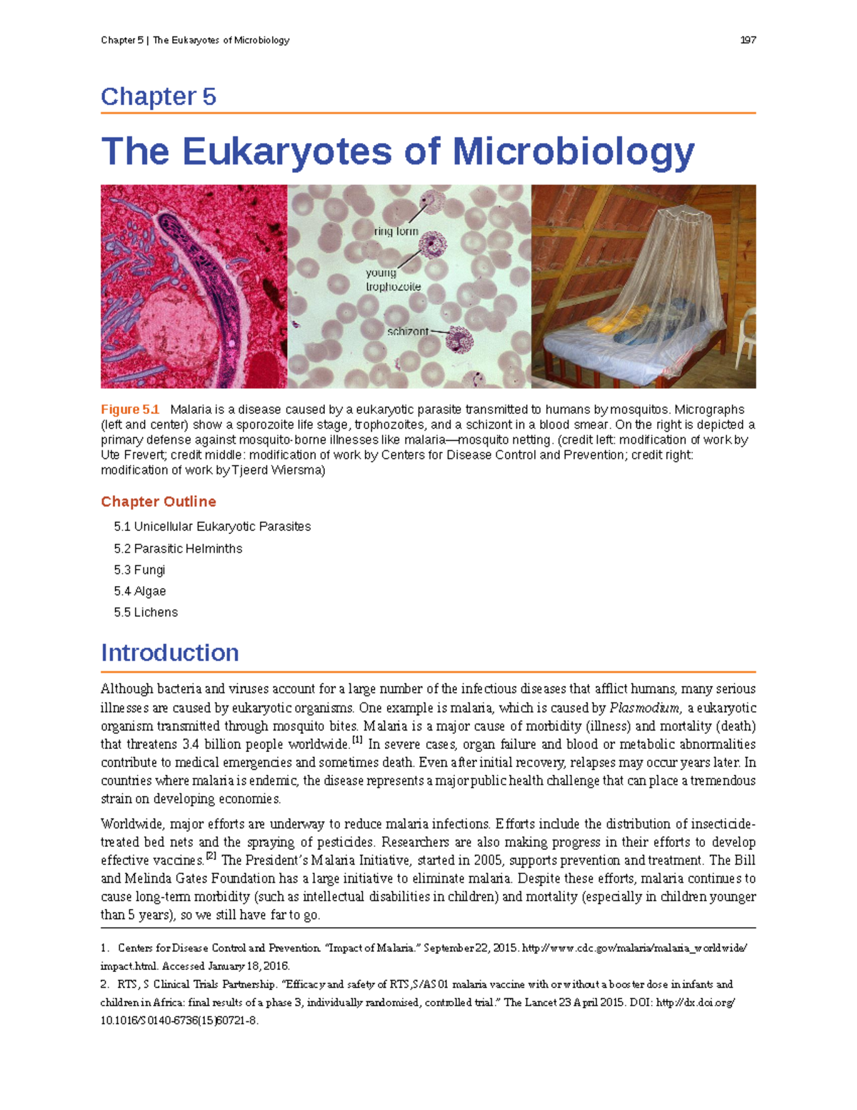 Chapters 5-9-min - dddddddddd - Chapter 5 The Eukaryotes of ...