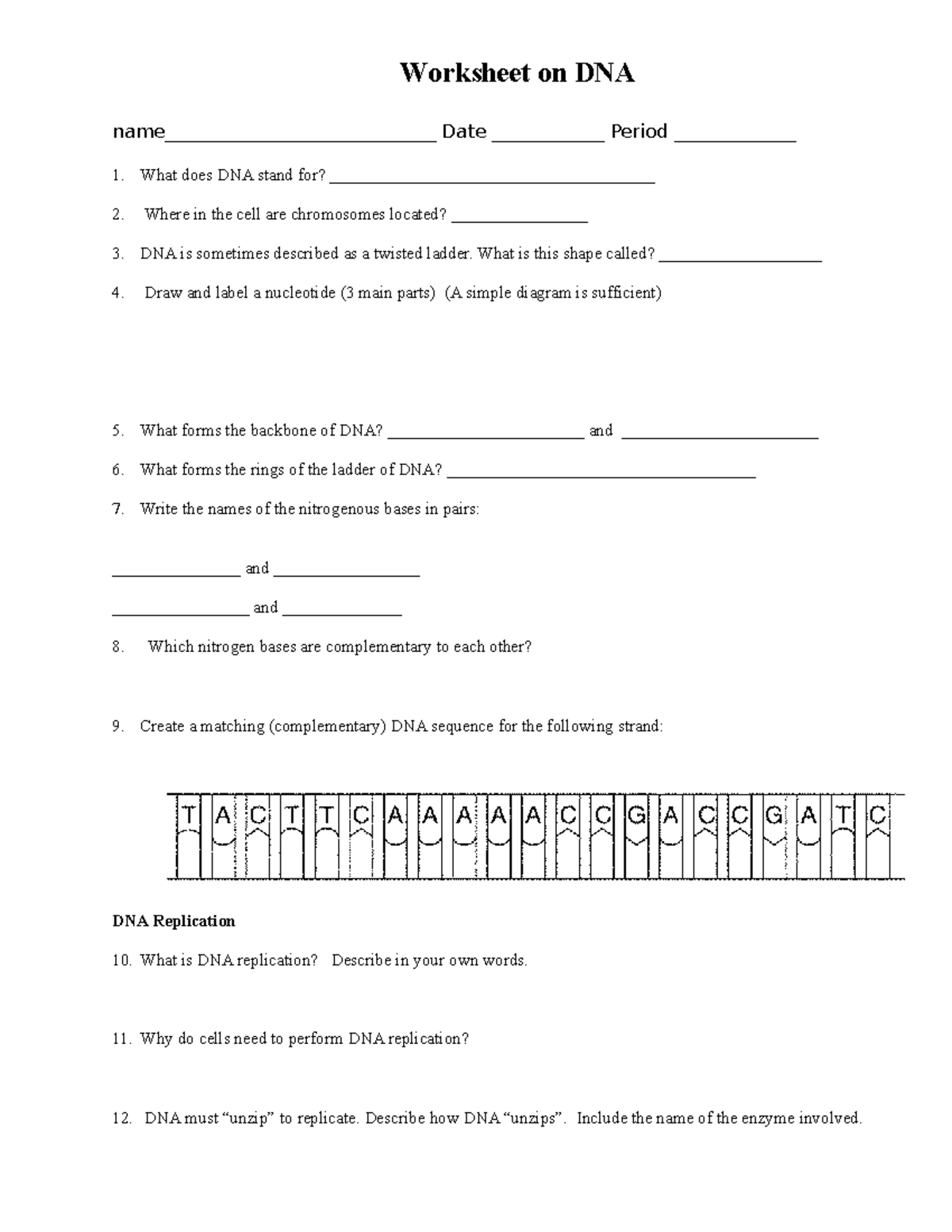 Dna replication review activity 12.1-12.2 - Worksheet on DNA name
