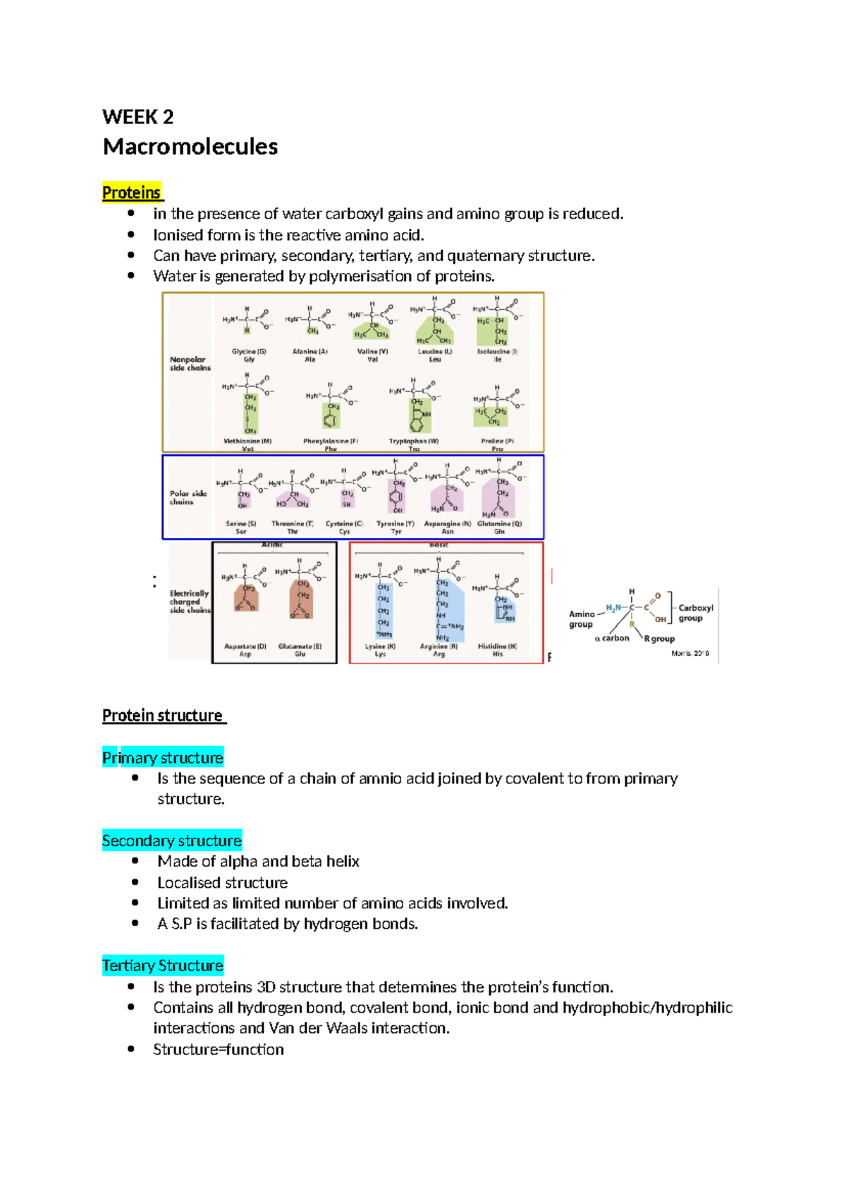 WEEK 2 Biology - these are the workshop notes for week 2 - WEEK 2 ...