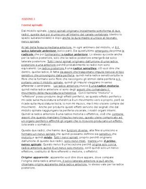 La formazione reticolare del tronco dell'encefalo - Giuseppe Moruzzi ...