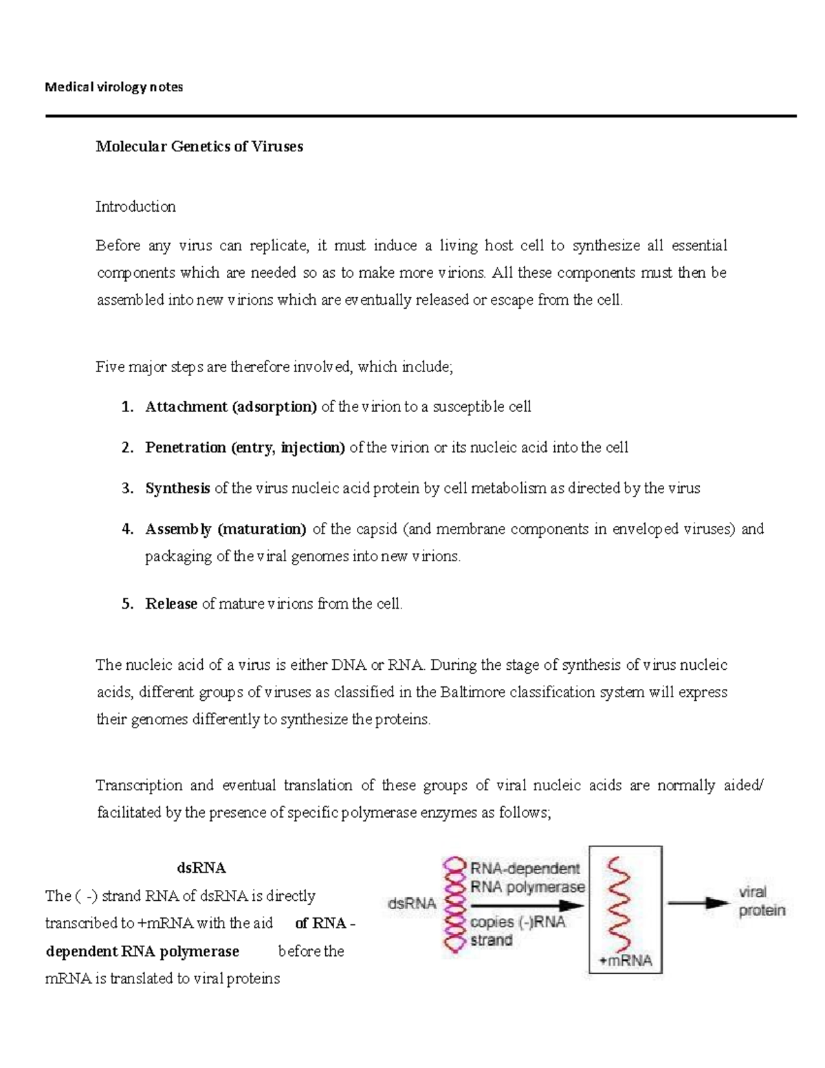 Molecular Genetics OF Viruses Lecture 2 - Medical virology notes ...