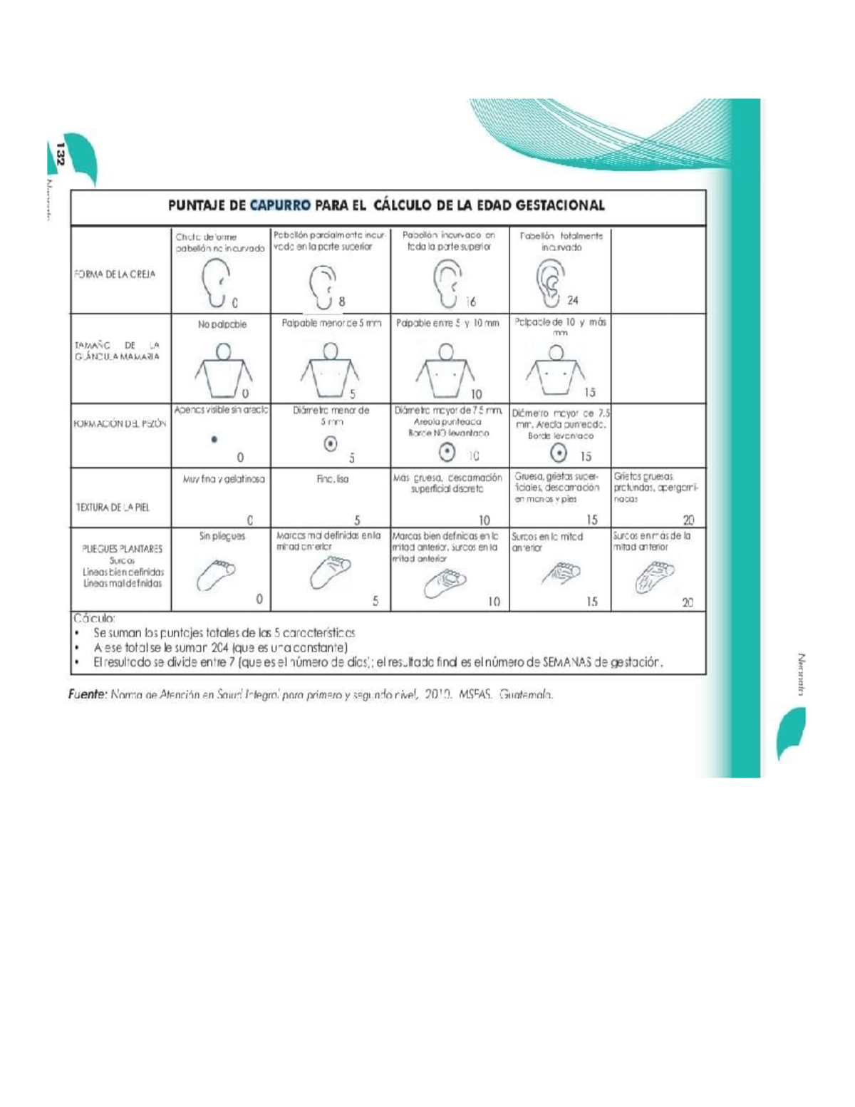 Grafica de Lubchenco - es necesario estudiarlo - 01 Artículo Todos los ...