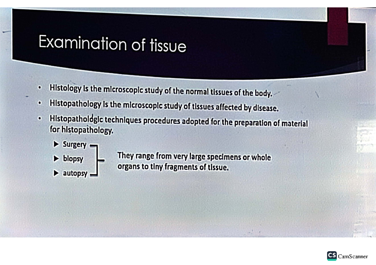 Histo Path Chapters 3 5 - BS Medical Technology/Medical Laboratory ...