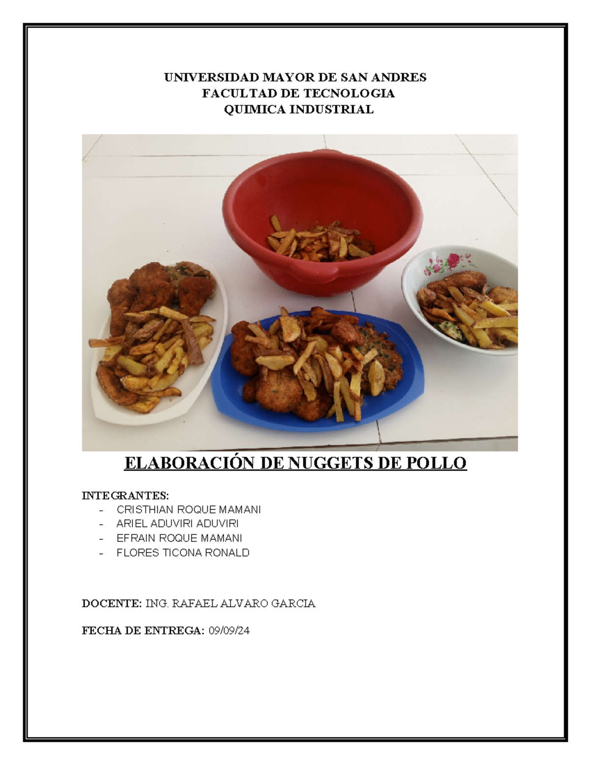 Elaboracion DE Nuggets - UNIVERSIDAD MAYOR DE SAN ANDRES FACULTAD DE ...