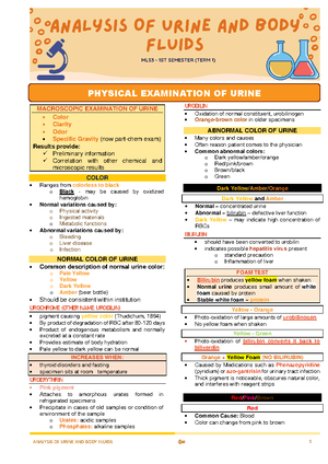 AUBF Notes - 2 Urinary System - Physiology, Function Urine Production ...