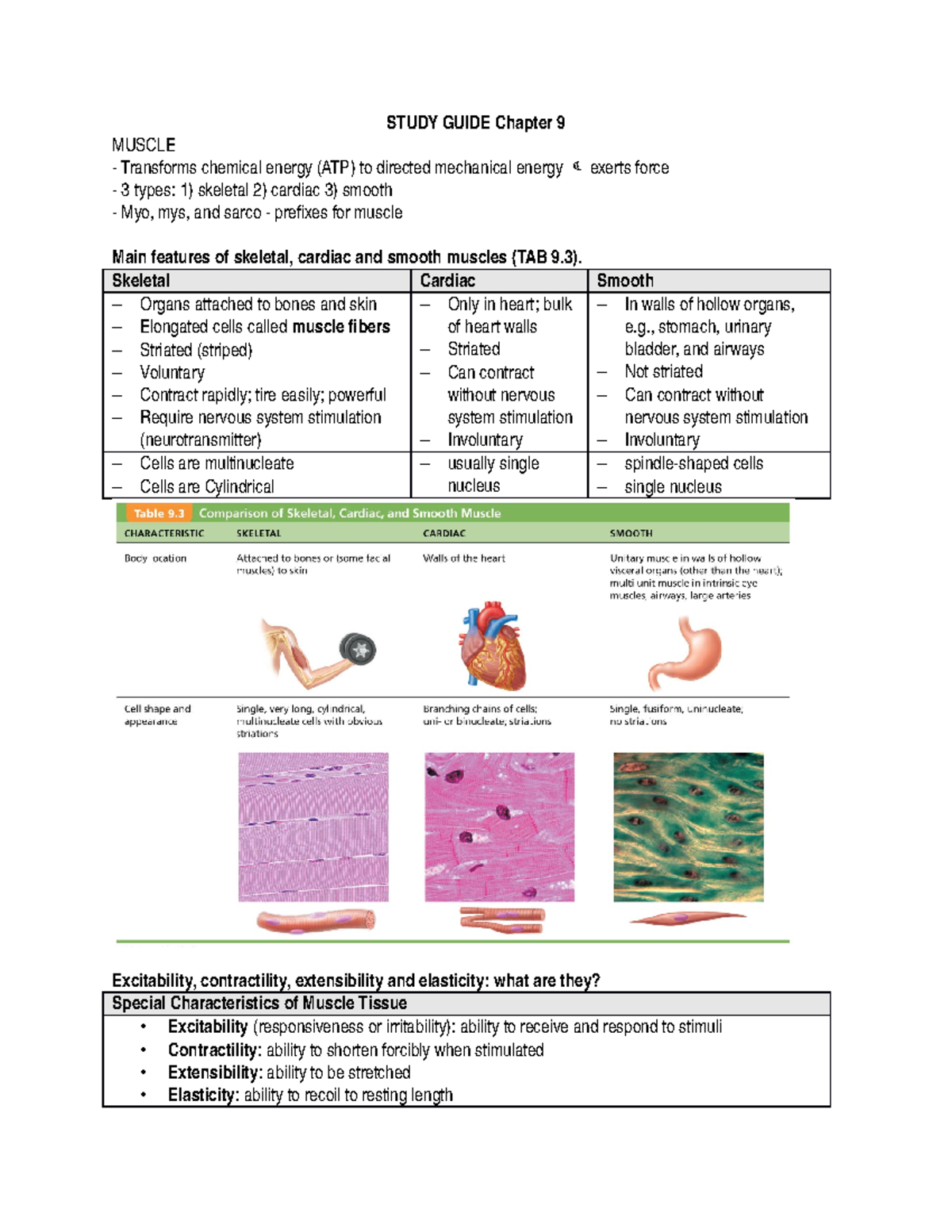 Study Guide Chapter 9 - STUDY GUIDE Chapter 9 MUSCLE Transforms ...