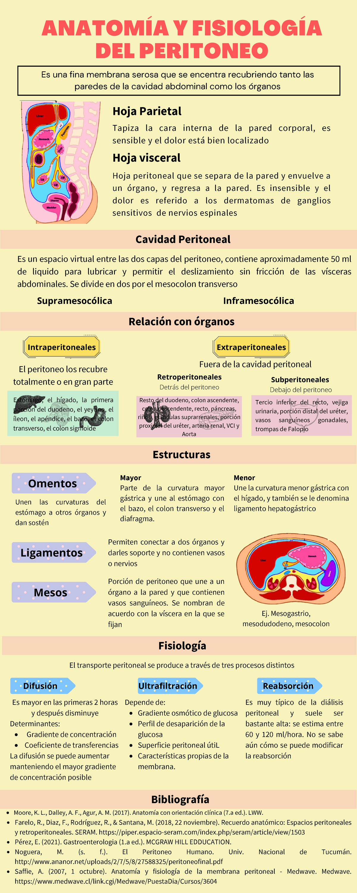 Infografía Anatomía y fisiología del peritoneo - Gastroenterologia ...