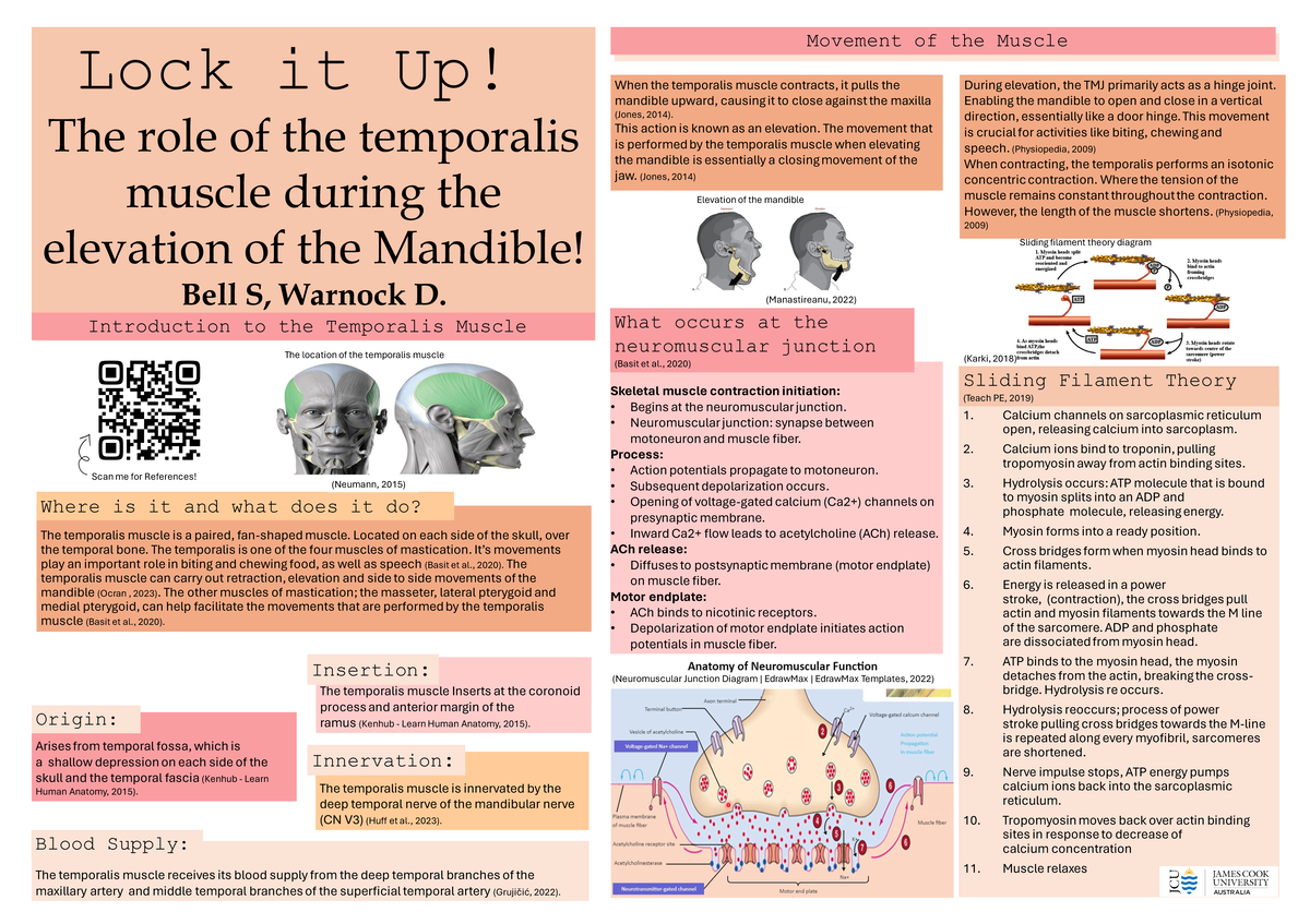 BM1051 poster presentation - The temporalis muscle receives its blood ...