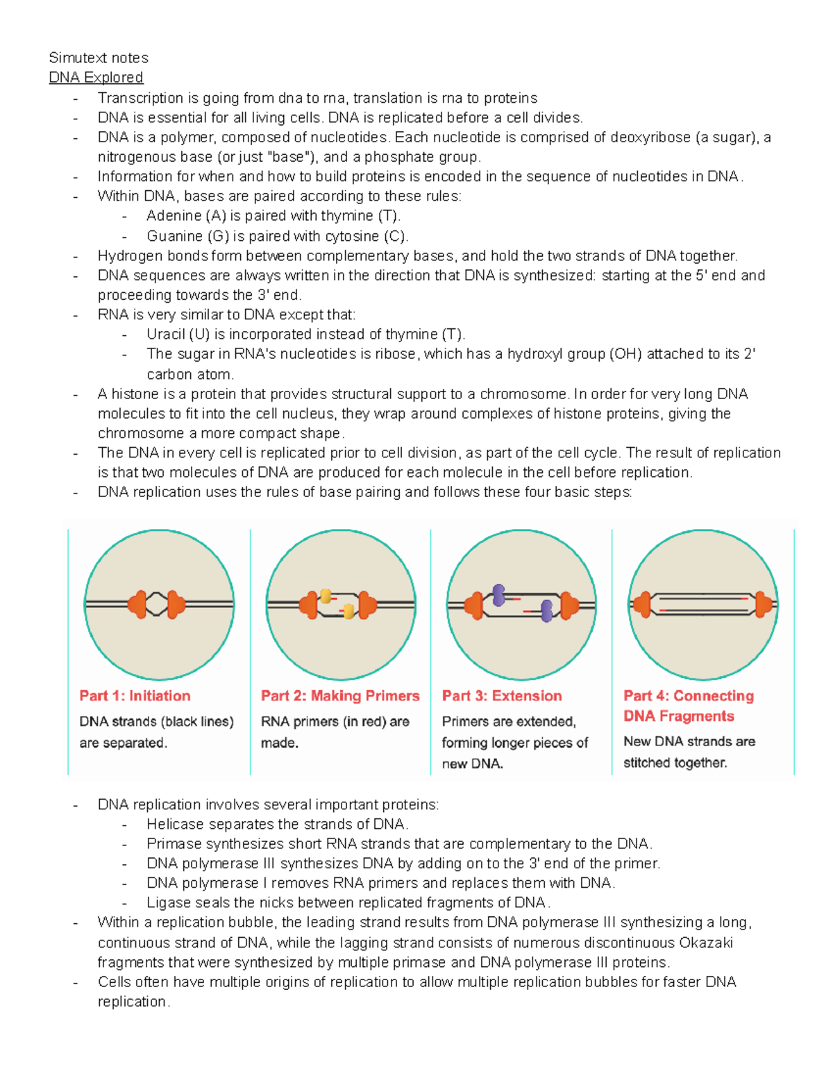 Bio 1001a Simutext notes - Simutext notes DNA Explored - Transcription ...