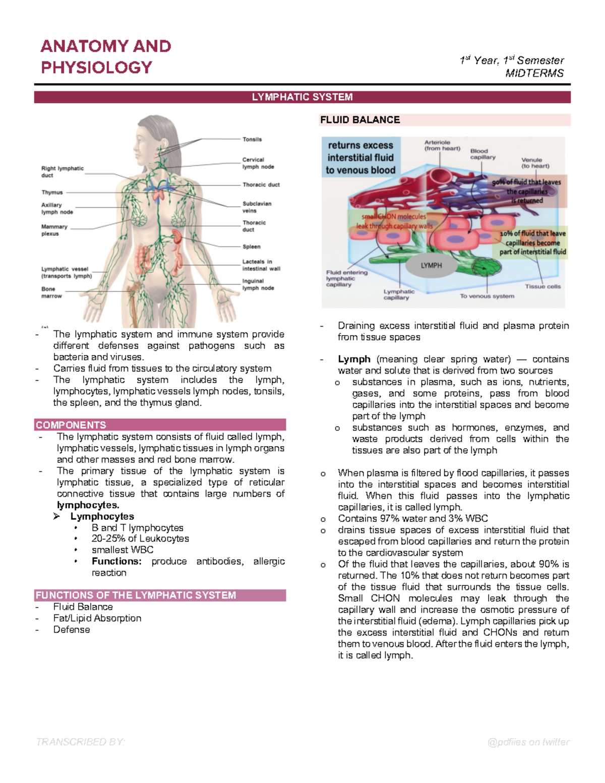 AP11-Lymphatic system - 1 st Year, 1st Semester PHYSIOLOGY MIDTERMS ...