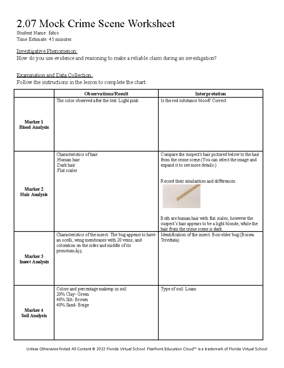 Copy of 2 - 2 Mock Crime Scene Worksheet Student Name: fabio Time ...