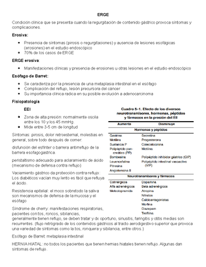 Estomago - Notas - ESTOMAGO: Anatomia: 4 regiones: Cardias, fondo ...