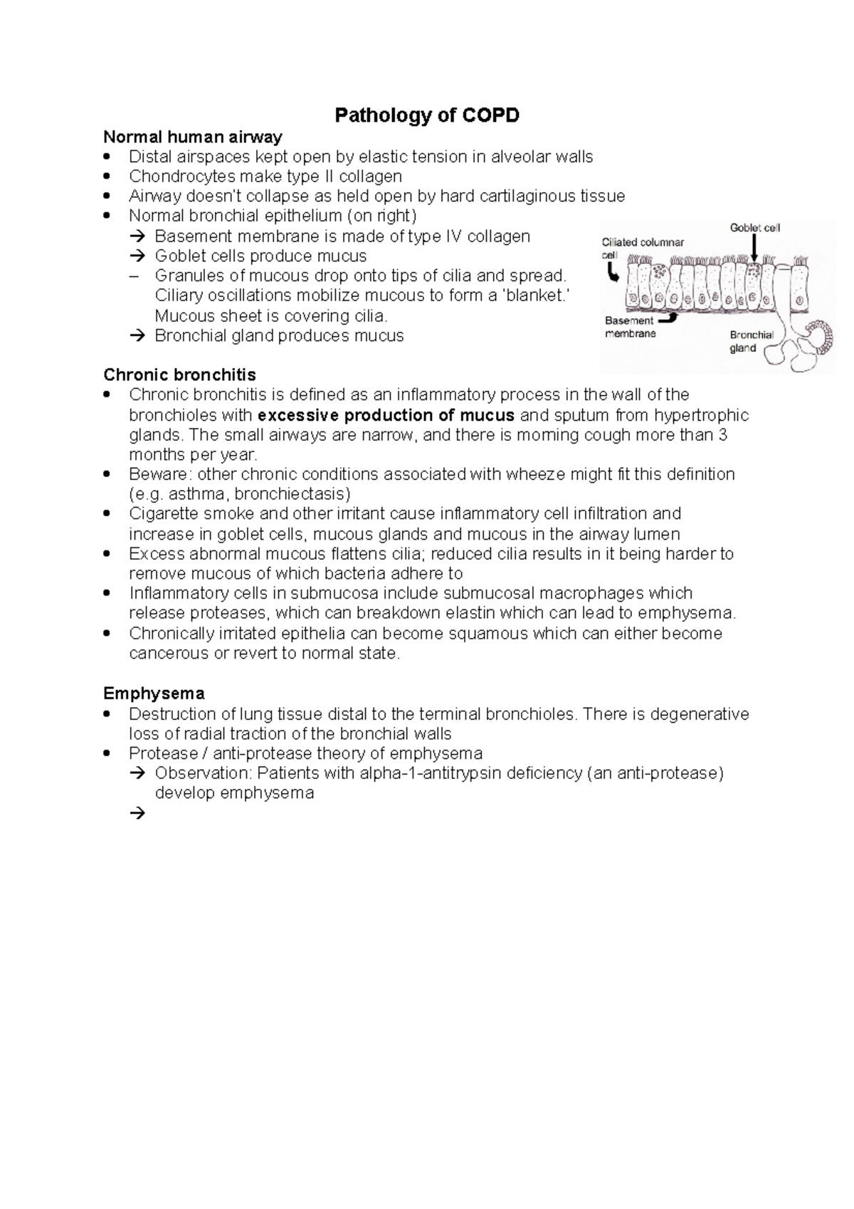 1. Pathology of COPD - Pathology of COPD Normal human airway Distal ...