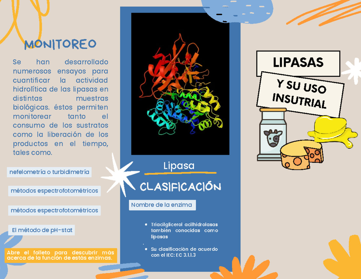 El uso de la lipasa en la industria - LIPASAS Y SU USO INSUTRIAL Lipasa ...